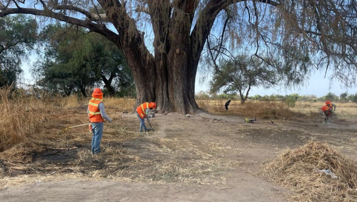 Gobierno de Lagos de Moreno y empresas generan estrategias para cuidar el medio ambiente ...