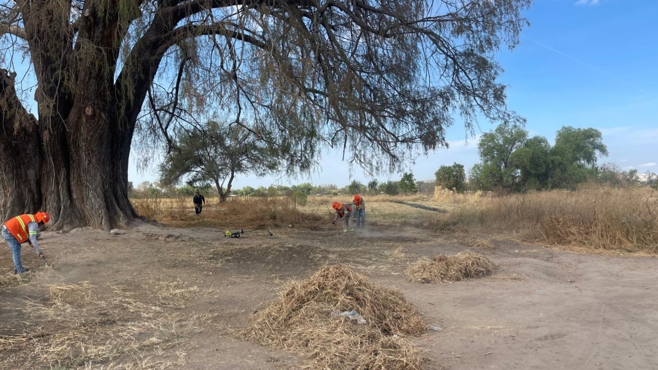 Gobierno de Lagos de Moreno y empresas generan estrategias para cuidar el medio ambiente ...