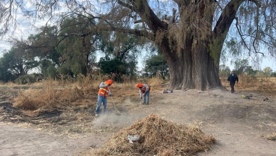 Gobierno de Lagos de Moreno y empresas generan estrategias para cuidar el medio ambiente ...